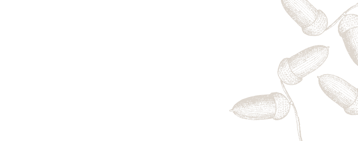 El origen de la empresa Navidul: quiénes somos - Navidul